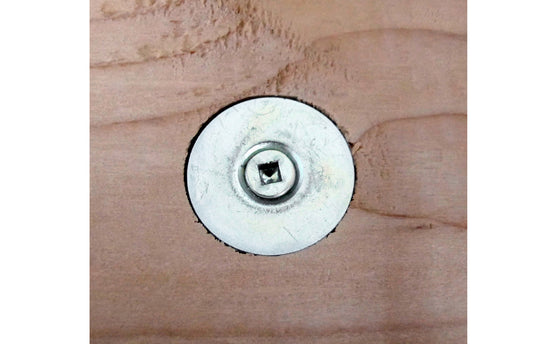 FastCap Wood Washer 9/16" Diameter - 30 Pack – Hardwick & Sons